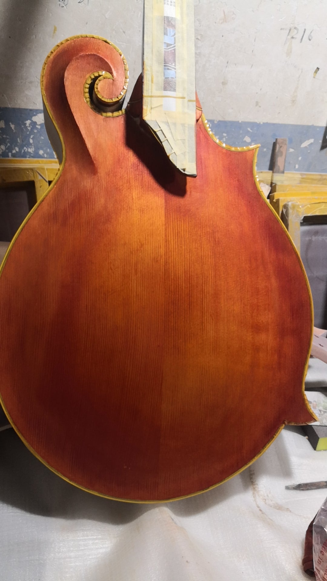 From Wood to Form: Selected Photos of a Mandocello Taking Shape — PPEQ ...