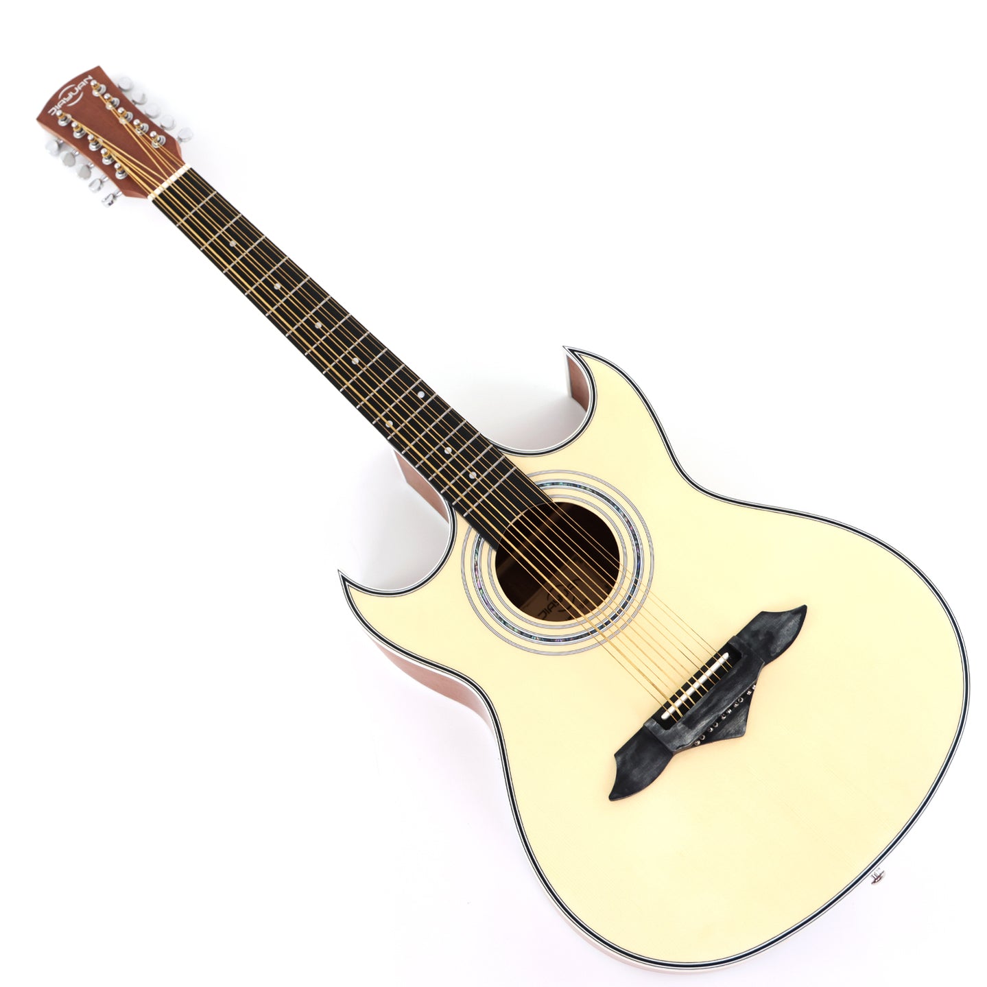 10-String Acoustic Guitar — PPEQ Guitar World